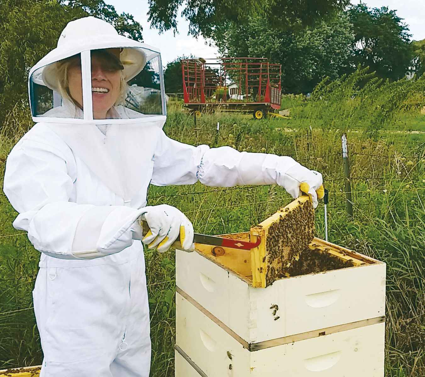 Plight of Honeybees Creates a Buzz - The Woodstock Independent