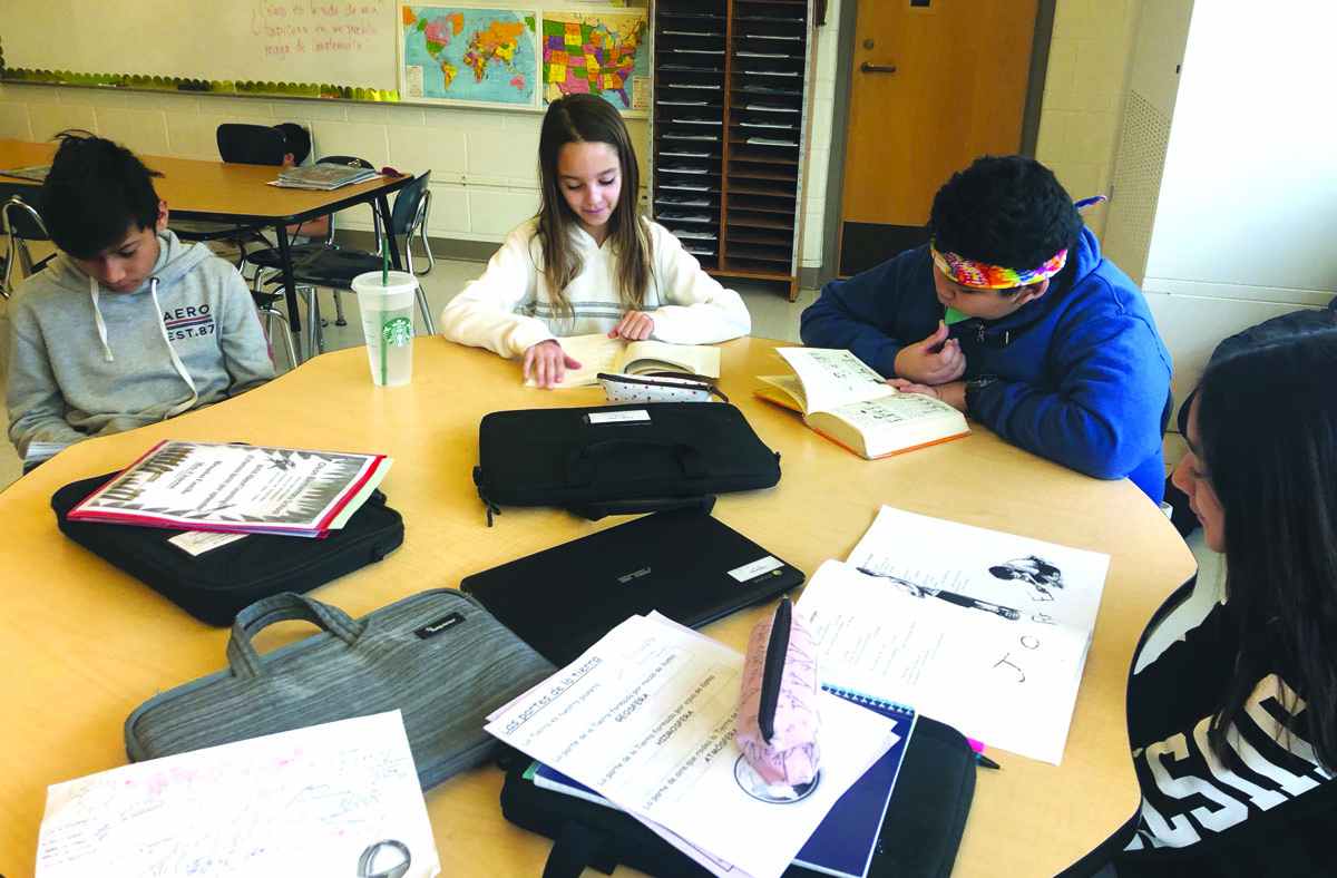 Grants promote reading with graphic novels - The Woodstock Independent