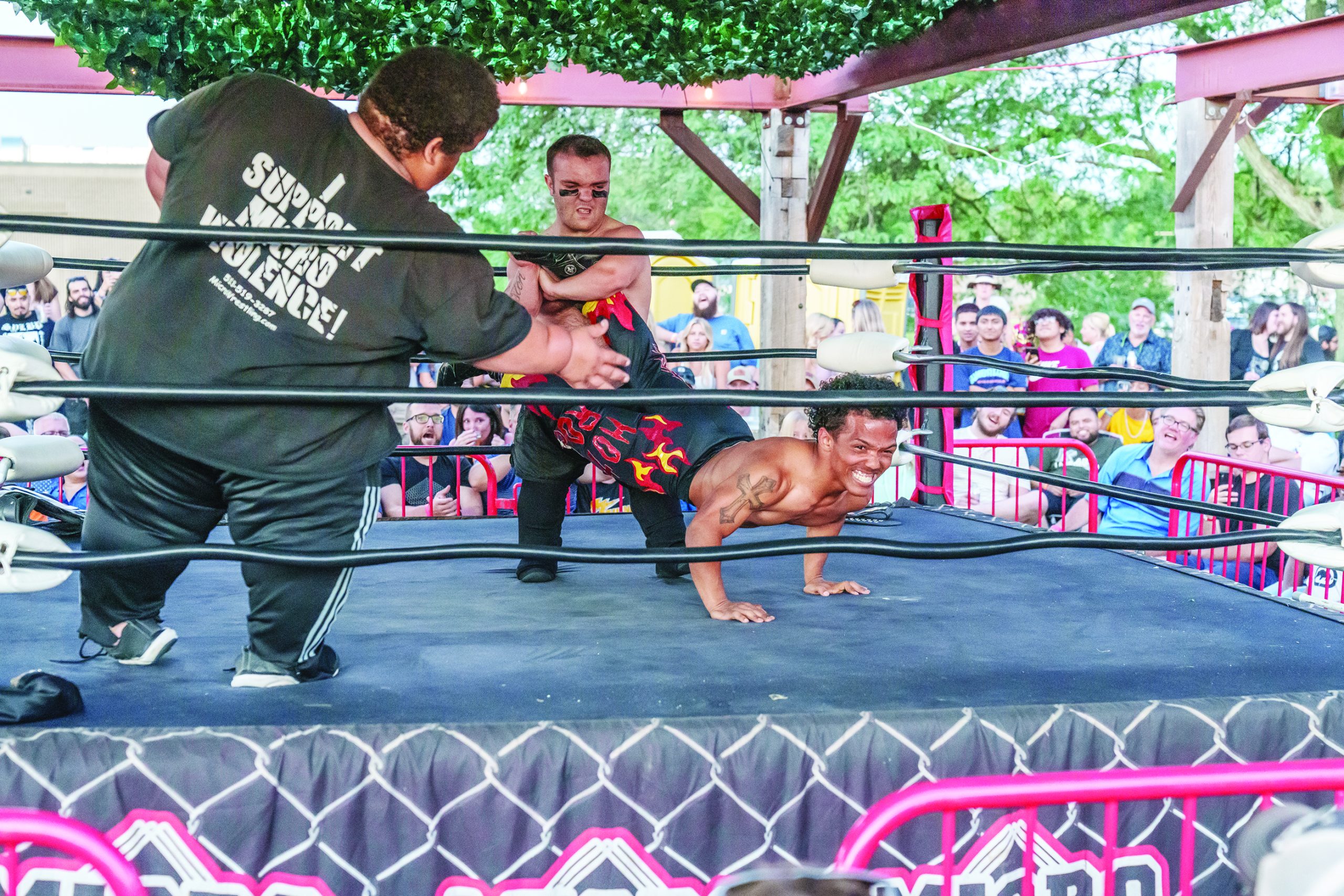 Micro-mania comes to Woodstock: Hundreds come out to see Little People ...