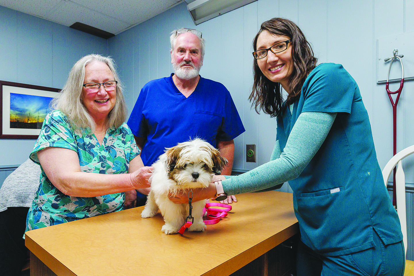 Vets to retire, but ‘feel’ will remain - The Woodstock Independent
